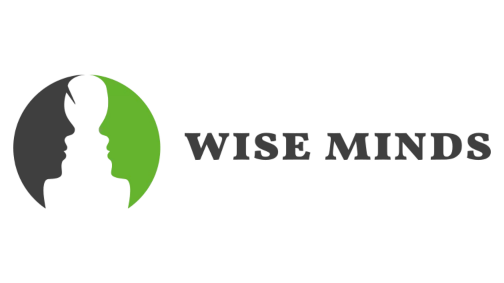 Software development - Wise Minds